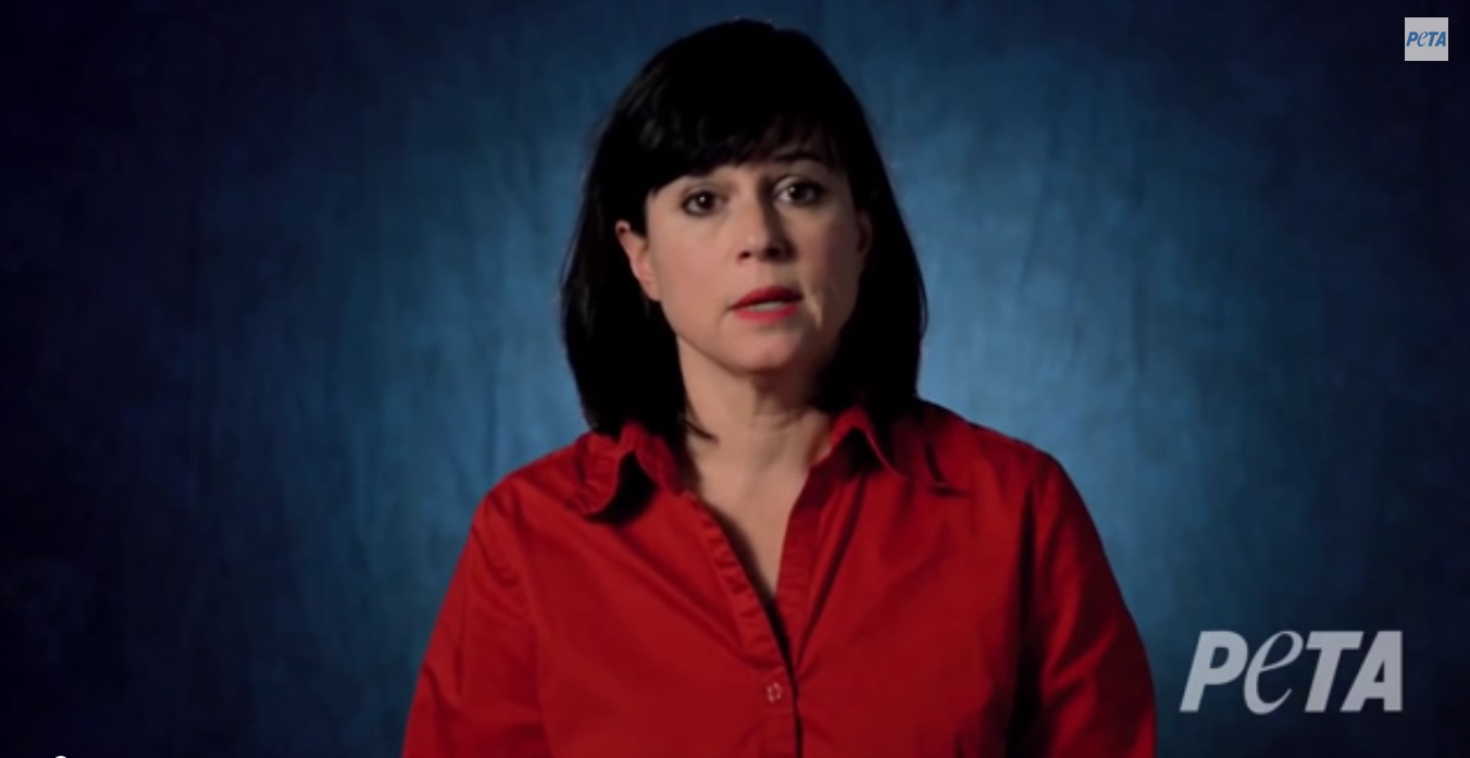 SeaWorld's Open Letter - SeaWorld of Hurt