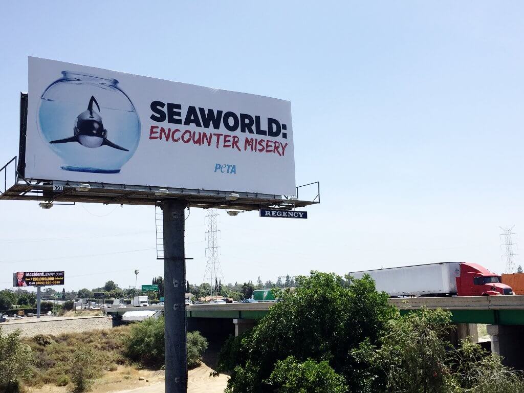 PETA Launches Anti-SeaWorld Ad Blitz in Los Angeles