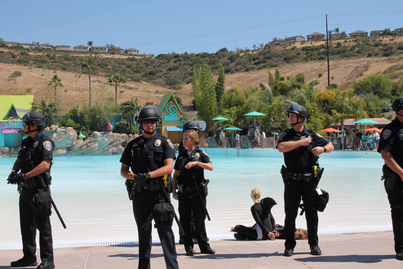 UPDATE: 'Orcas' Who 'Died' at SeaWorld's Aquatica Arrested