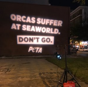 We Tried Out a 'Bat Signal' to Protest SeaWorld, Because Animals Need ...