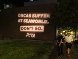 We Tried Out a 'Bat Signal' to Protest SeaWorld, Because Animals Need ...