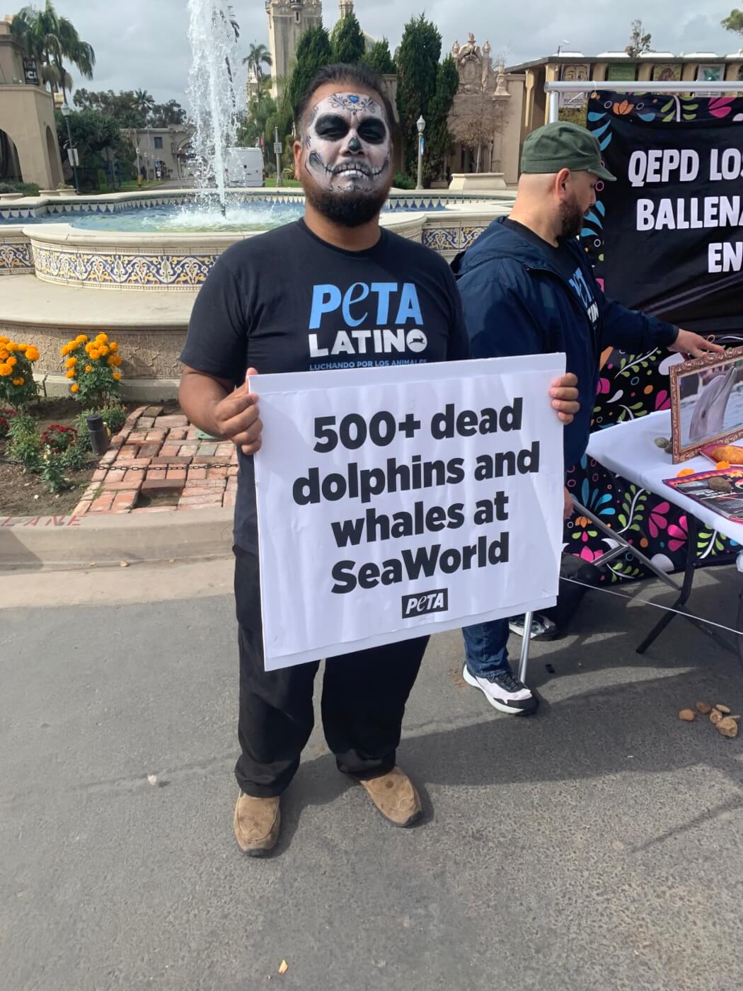 Vigil for Dolphins and Whales Who Died at SeaWorld | PETA