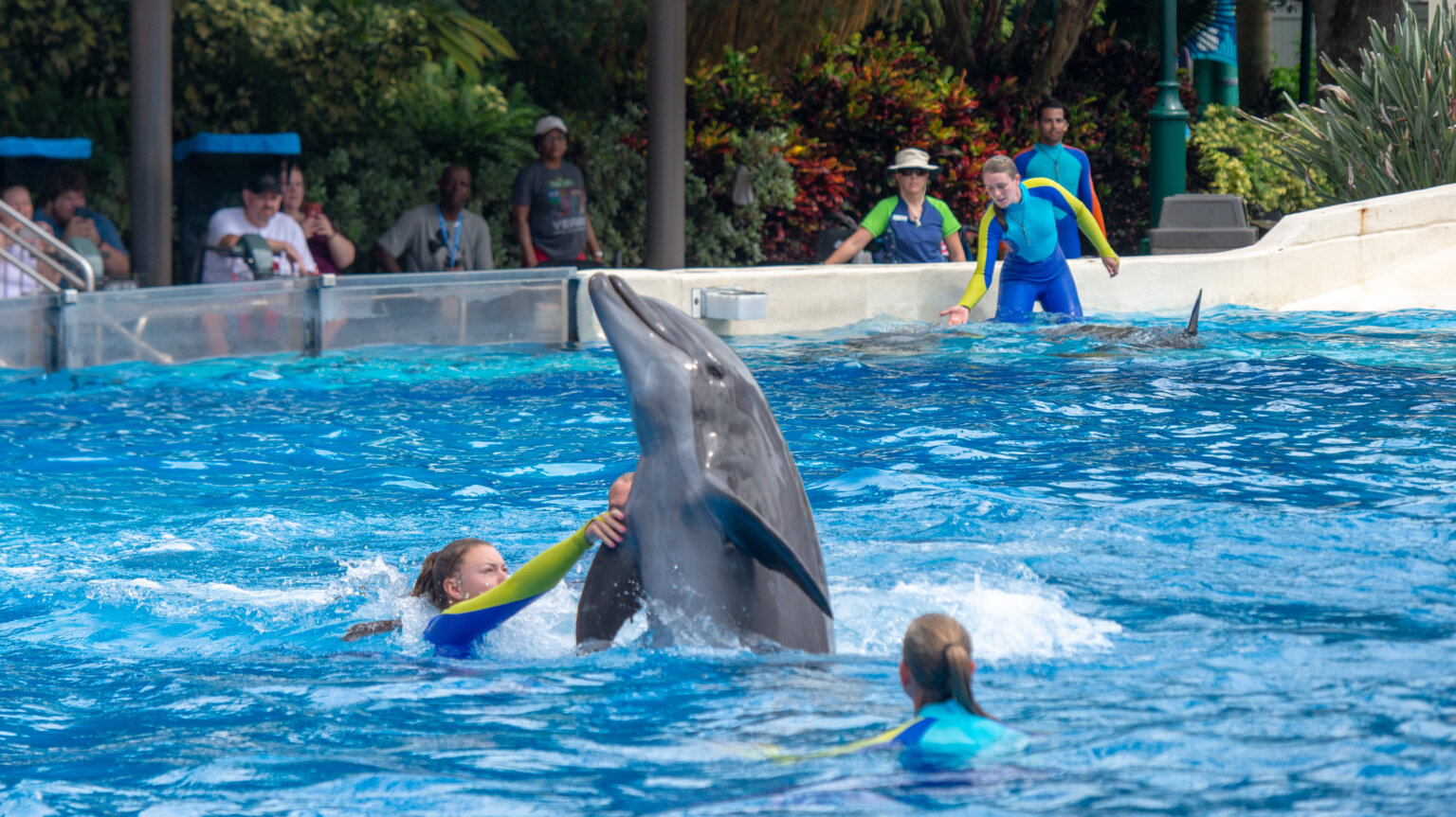 10 Things You Didn't Know About SeaWorld - SeaWorld of Hurt