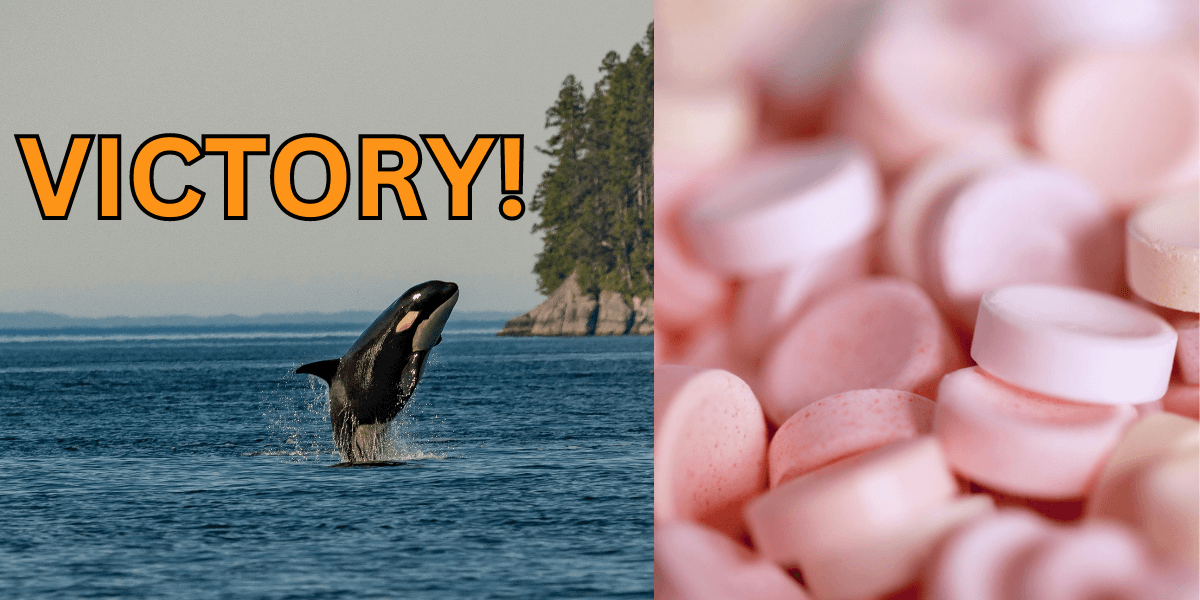 Sweet Victory! Candy Companies Cut Ties With SeaWorld | PETA